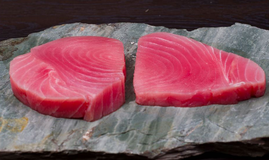 Atún Fresco / Congelado – Ancla y Viento